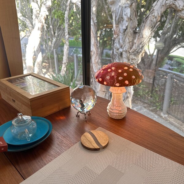 Shimmering Amanita Fungi Lamp | Fungus Light | Nature Decor - Etsy