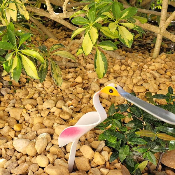 Spoon Bill With Gray Beak-garden Stake - Etsy