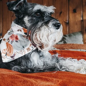 The Loop Di Doo Pet Waste Bag Holder, Poop Loop, Dog Bag Carrier - Etsy