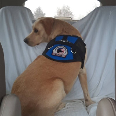 Pet Inside in Case of Emergency Vinyl Sticker for Your RV or - Etsy