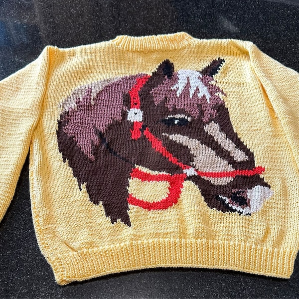 Snoopy Knitting Pattern Sweaters for Children and Adults Dk Wool ...