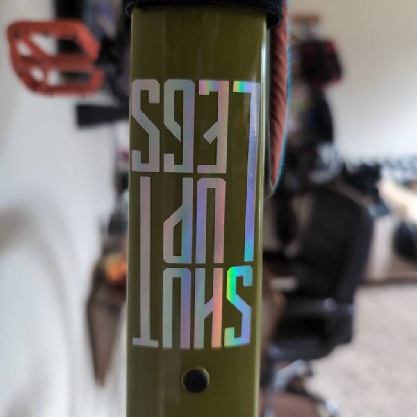 Transition SPUR CARBON 2020 Sticker Kit - Etsy