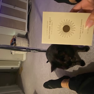 The Tarot of Curious Creatures Deck and Guidebook - Etsy