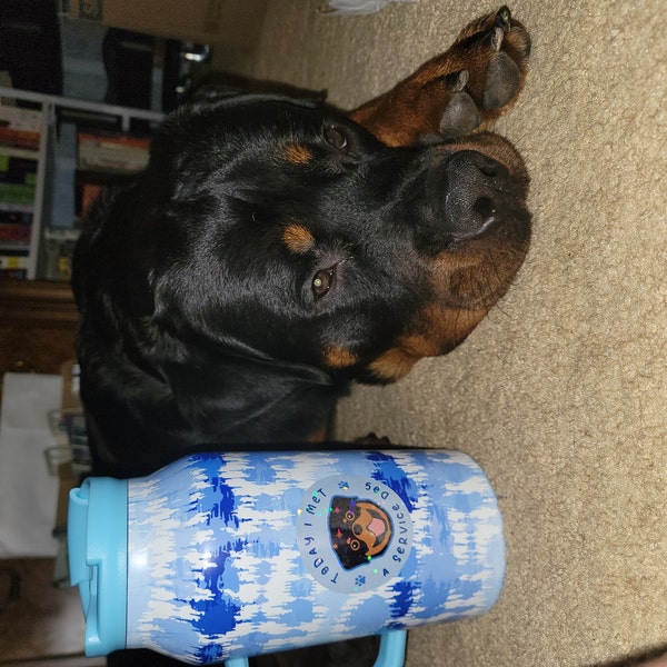 Stickers Assistance Animals Save Lives Personalize I Met an Assistance ...