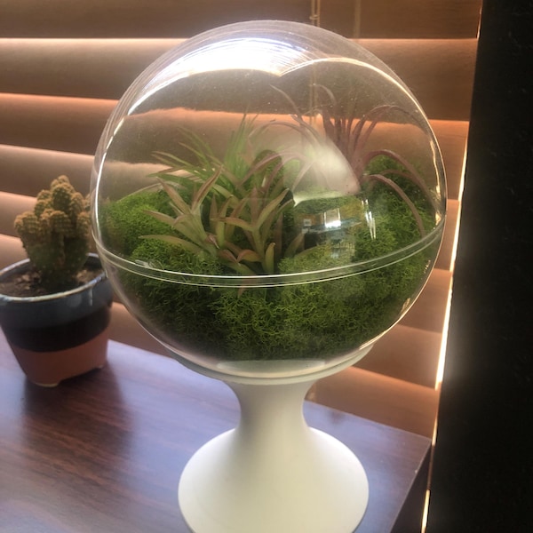 Mini Terrarium Planter - Retro - MCM - Mid-century Modern - 60s - 70s ...