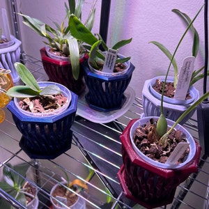 Stackable Mason Bee Cocoon Storage, Hydration Station, 100% ...