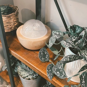 Willow Glass Dome & Wood Grain Diffuser Essential Oil - Etsy