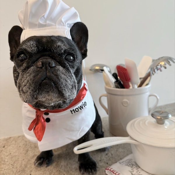 Halloween Chef Dog Cat Pet Costume, Kitchen Helper Assistant Costume ...