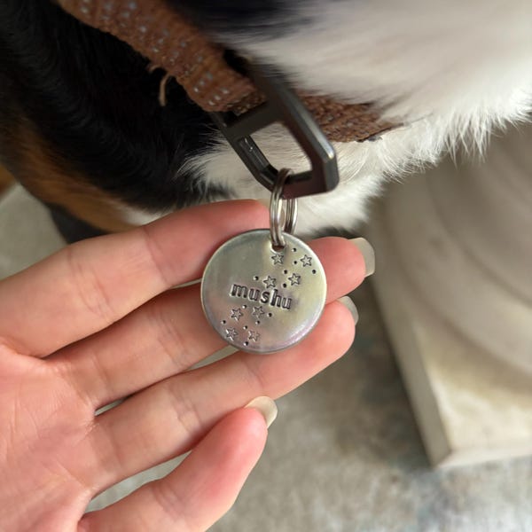 Fall Autumn Acorn and Leaves Pet Tag Dog Tag Cat Tag - Etsy