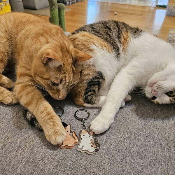 Orange Tabby American Bobtail Cat Waterproof Vinyl Sticker | Kawaii ...