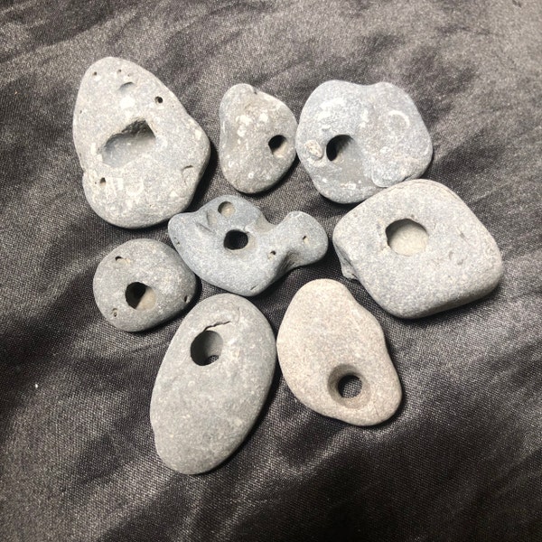 5-8 Irish Hag Stones (small) Multipack, Holey Stones, Adder Stones, Hag ...