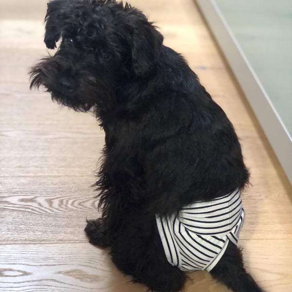 DOWLOAD SEWING PATTERN / Heat Pants for Your Dog, Pdf Sewing Pattern ...