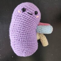Anatomical Kidney Crochet Pattern! PATTERN ONLY Instant DOWNLOAD ...