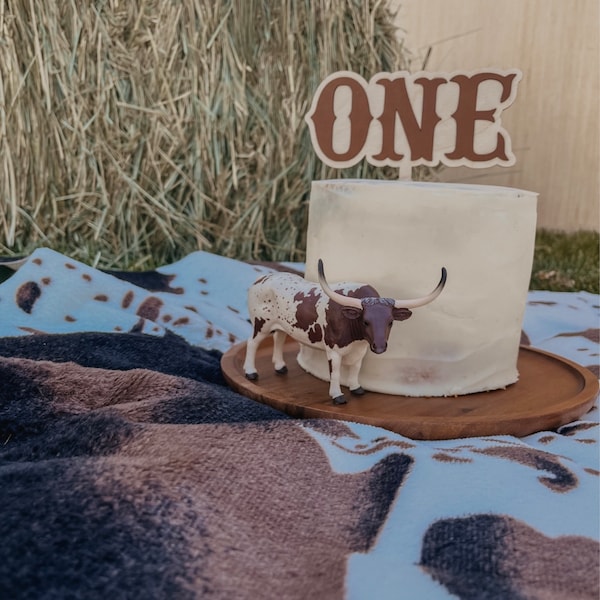 My First Rodeo, First Rodeo Cake Topper, Western First Birthday, Cowboy ...