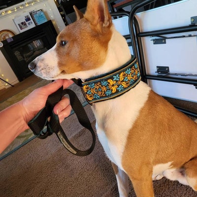 Bold and Bright Ring Lead With Tug Agility Lead-barn Hunt Lead Fyball ...