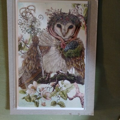 Greeting Card Owl Card Barn Owl Card Greeting Card Set Woodland ...