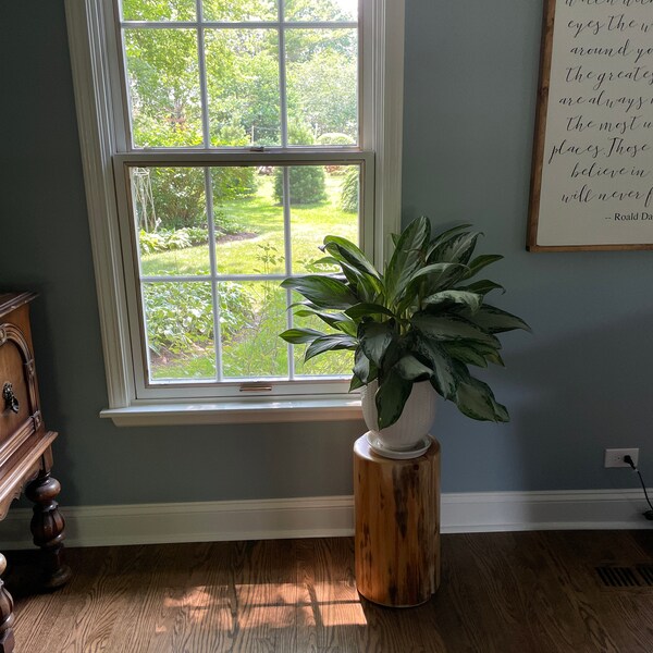 Cedar Stump Side/end Table - Etsy