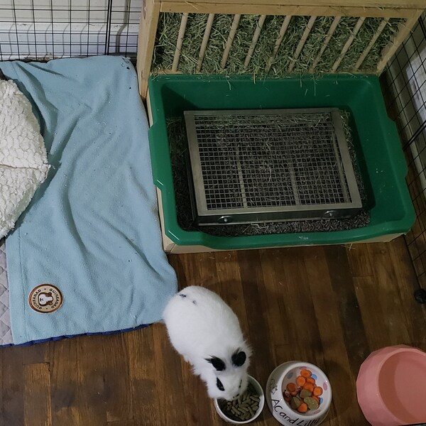 Stainless Steel Scatterless Sliding Tray Litter Box Pan Potty Training ...