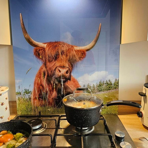 Kitchen Glass Splashback Toughened Tile Cooker Panel Any Size Highland ...