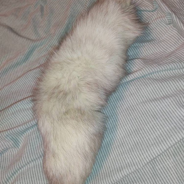 Marten Pelt, Marten Skin, Marten Hide, Marten Fur, Real Fur, Marten Fur ...