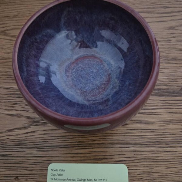 Ladybug in the Garden Oval Shaped Ceramic Buttons - Etsy