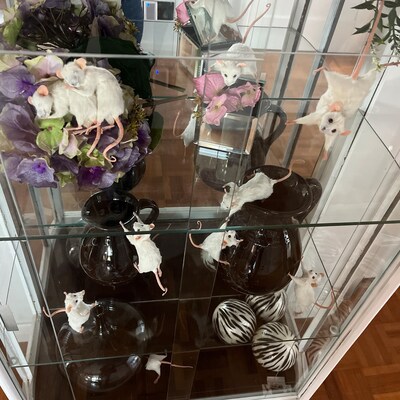 Circus Hoop Taxidermy Mice. - Etsy