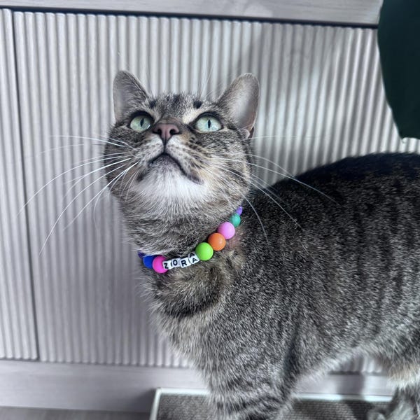 Custom Beaded Cat Name Collar, Fancy Designer Kitty Necklace ...