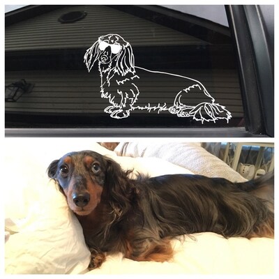 Long Haired Dachshund Decal FULL BODY, Dog, Vinyl Decal, Car Decal ...