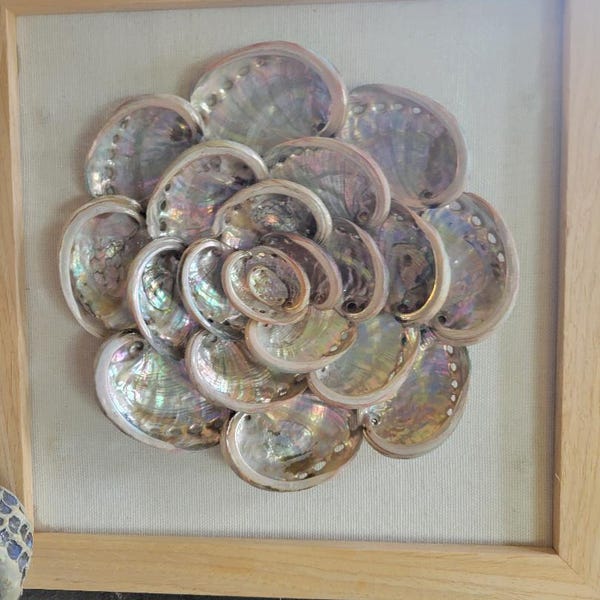 Bulk Raw Red Abalone Shells, Bulk Shells for Crafting, Abalone Shells ...