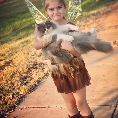 Fawn Inspired Fairy Wings / Fairy Wings Similar to Fawn / Fairy Wings ...