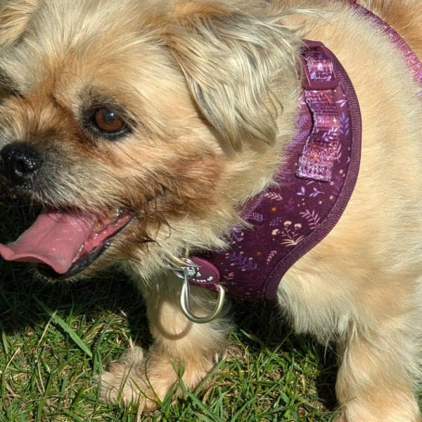 Adjustable Dog Harness for Extra Small Puppies to Large Dogs ...