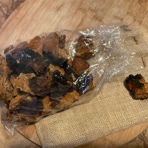 Chaga Mushroom Chunks 1lb Wild-foraged Naturally Dried Maine Chaga ...