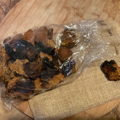 Chaga Mushroom Chunks 1lb Wild-foraged Naturally Dried Maine Chaga ...