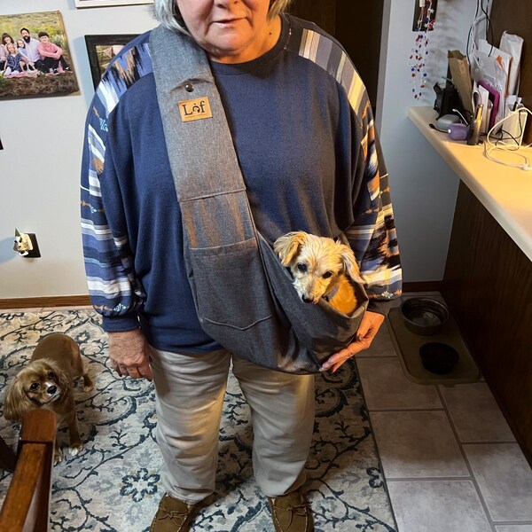 Lof Dog No Pull H-type Harness With Handle, Designed to Fit Dogs Body ...