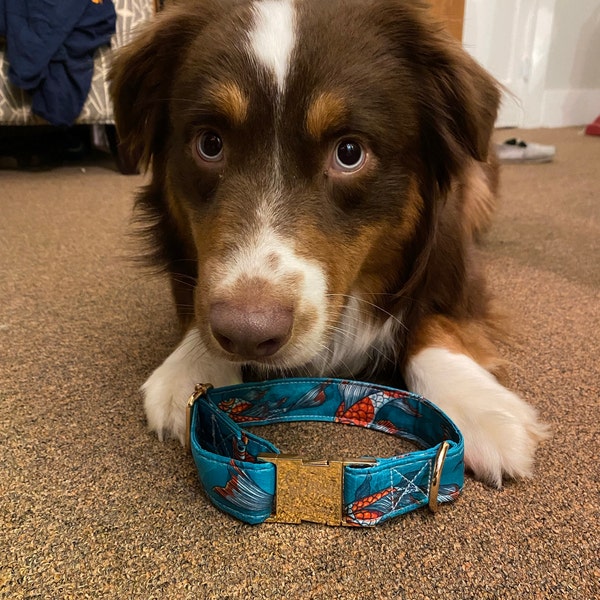 Personalized Laser Engraved Japanese Koi Fish Collar, Quick Release ...