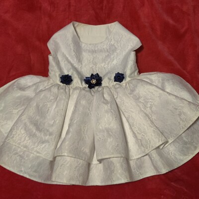 Isabella Dog Dress 5X Sewing Pattern PDF, Big Dog Clothes Pattern ...