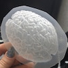 Human Brain Plastic Mold or Silicone Mold, Resin Mold, Brain Mold, Clay ...