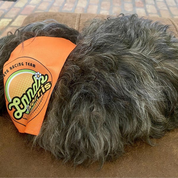 Formula 1 Charles Leclerc Dog Bandana Ferrari F1 Racing Dogcollar ...