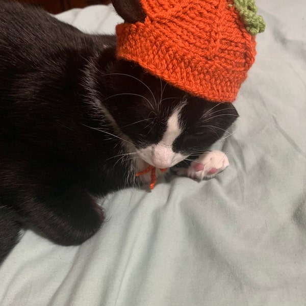 Pumpkin Hat for Cat, Halloween Pet Costume, Fall Kitten Outfit ...