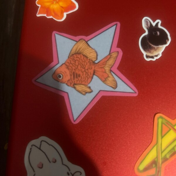 Goldfish Star Sticker | Glossy and Waterproof - Etsy