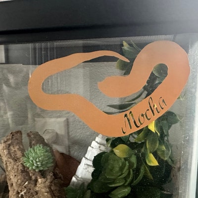 Customizable Name Hognose Snake Vinyl Decal READ DESCRIPTION - Etsy