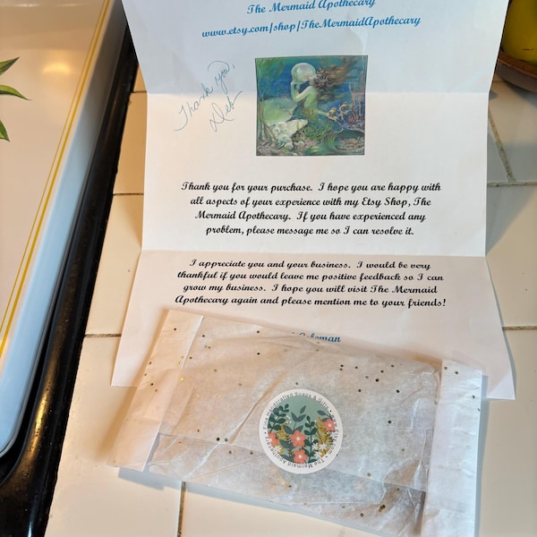 Sea Shell on 16 Inch Leather Necklaces - Natural Shells Leather Cord ...