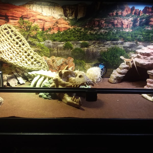 40 Gallon Red Rock Desert Background Petbackdrops - Aquarium Background ...