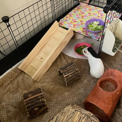 5.5 Guinea Pig Ramp With Sides, Guinea Pig Accessory, Chinchilla Cage ...
