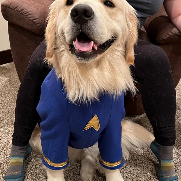 Star Trek Dog Costumes XS to XL - Etsy