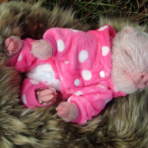 Hunter Green Faux Fur Fabriccraft Squaresfun Fur Baby | Etsy