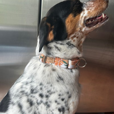 Orange and White Checkered Dog Collar, Martingale or Flat Collar, Dog ...