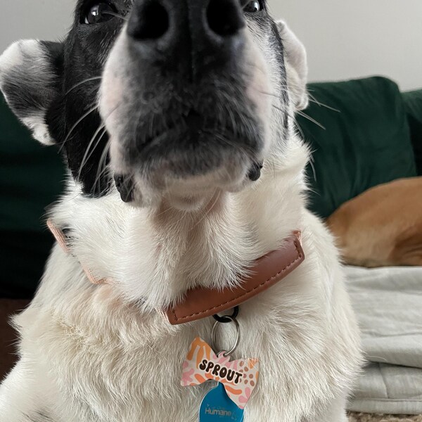 Retro Smiley Dog Tag Retro Dog Tag Pet Tag Custom Dog Tag Personalized ...