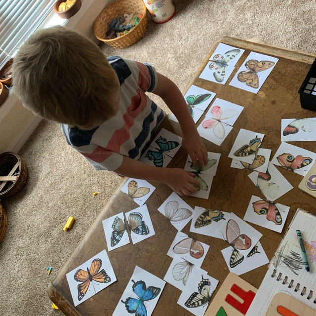 Montessory printables for toddlers and by MontessoriPrintStore