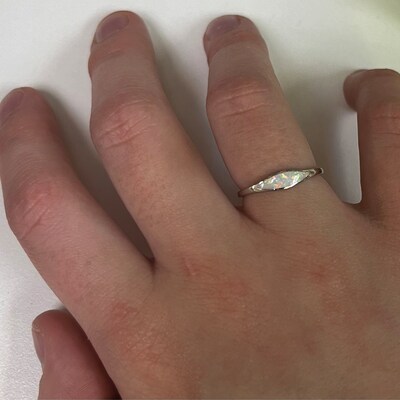 Moon Snail Shell Tanea Lineata 24k Gold Plated Trim Pendant Sea Pendant ...